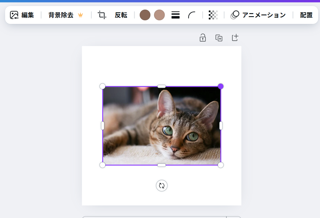 写真がまるでイラストに♡CanvaのCartoonifyでつくるSNS映えアイコン術 | ぐうたら道をグータラ歩く